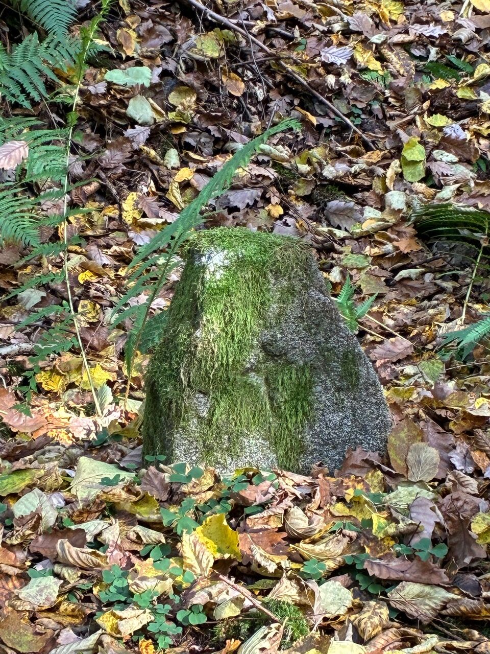 Pátráme po válečném zločinu. Dokazuje ho nalezená munice - Magazín ...
